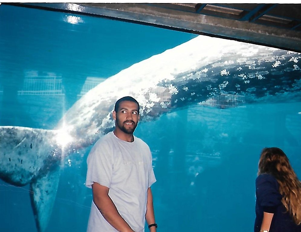 SeaWorld - A Journey Through the Years – San Diego Beach Secrets