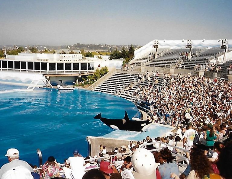 SeaWorld - A Journey Through the Years – San Diego Beach Secrets