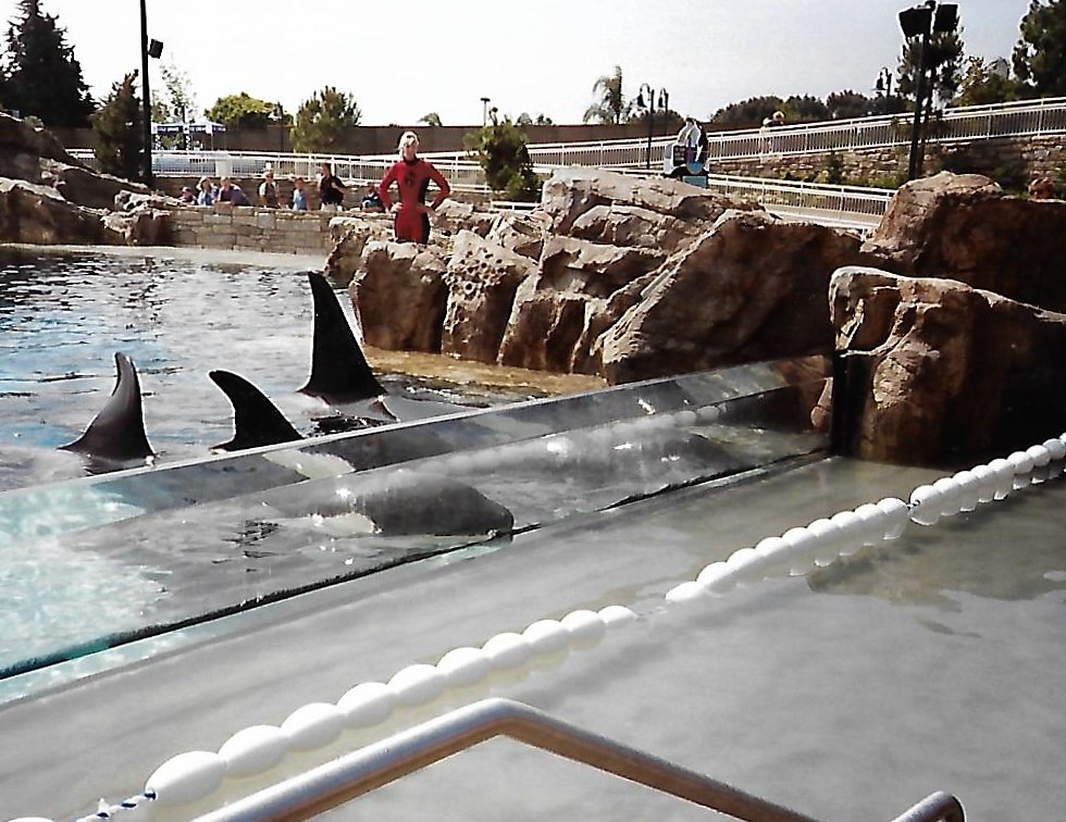 SeaWorld - A Journey Through the Years – San Diego Beach Secrets