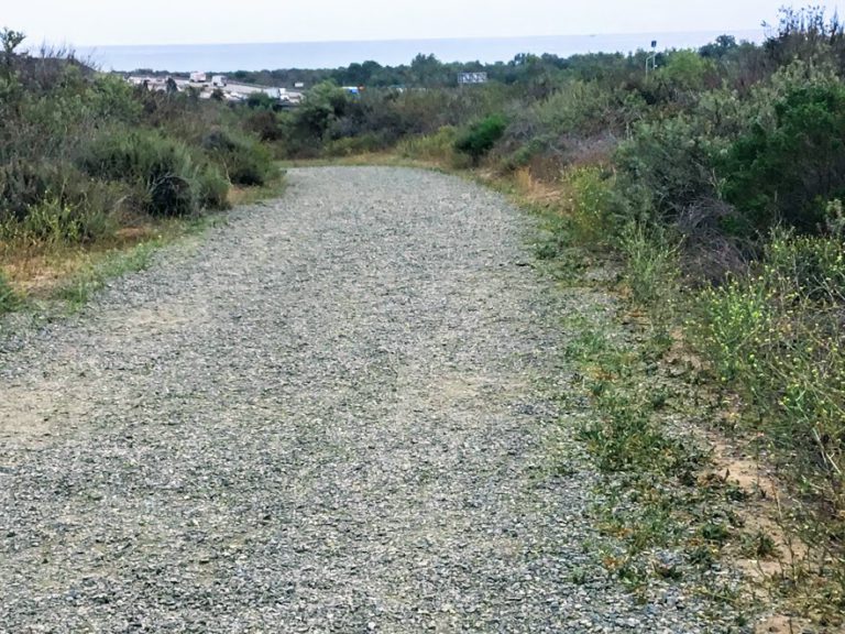 Exploring Trestles Beach Trail – San Diego Beach Secrets
