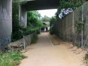 Exploring Trestles Beach Trail – San Diego Beach Secrets