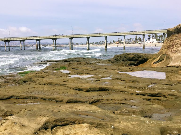 Top Ten Best San Diego Tide Pools – San Diego Beach Secrets