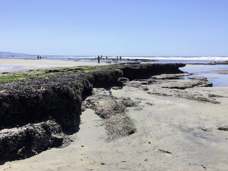 Top Ten Best San Diego Tide Pools – San Diego Beach Secrets