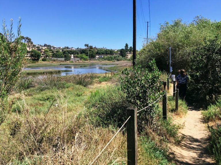Slough What? Discovering Famosa Slough – San Diego Beach Secrets