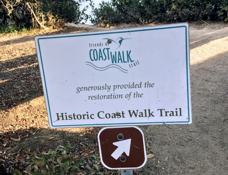 La Jolla Coast Walk Trail-Let's Go! – San Diego Beach Secrets