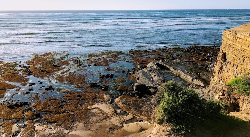 King Tide at Sunset Cliffs Natural Park – San Diego Beach Secrets