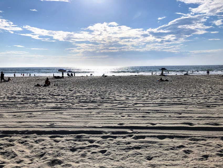 Live Streaming Beach Cams – San Diego Beach Secrets