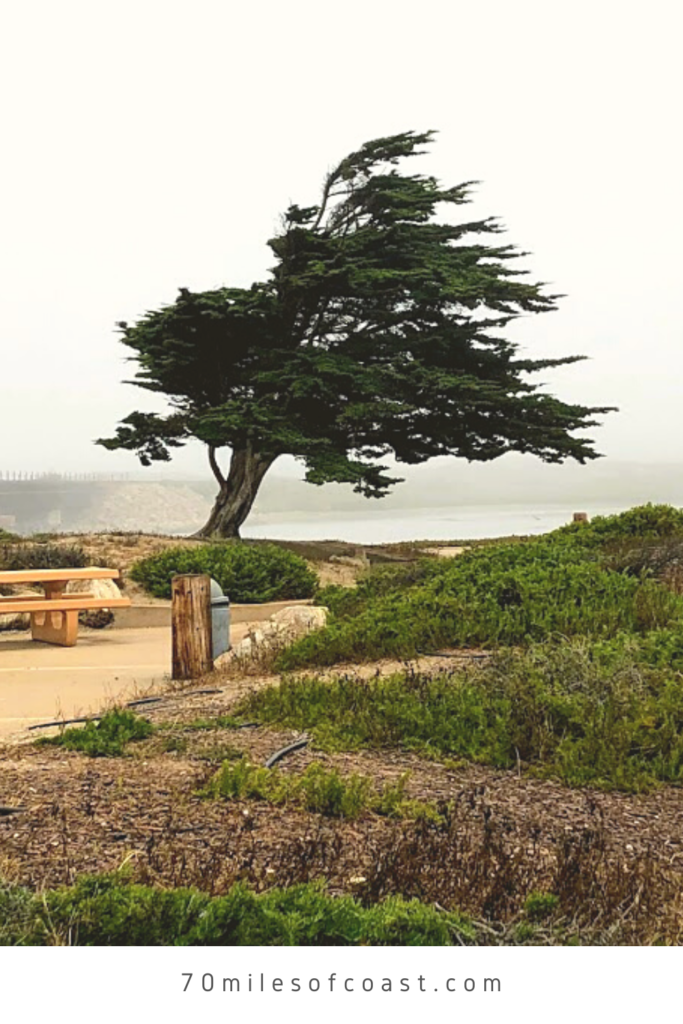 Touring Ocean Beach Park-Lompoc, CA – San Diego Beach Secrets