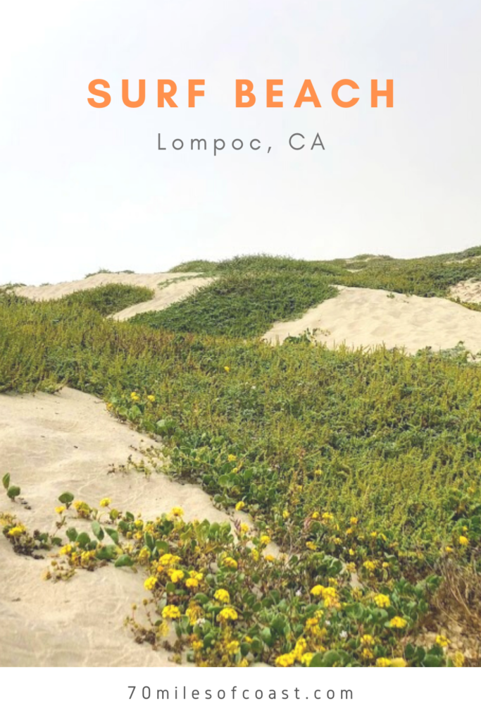Touring Ocean Beach Park-Lompoc, CA – San Diego Beach Secrets