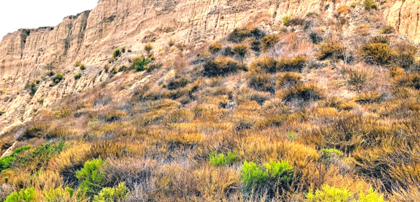 Hiking South of San Onofre Bluffs Campground – San Diego Beach Secrets