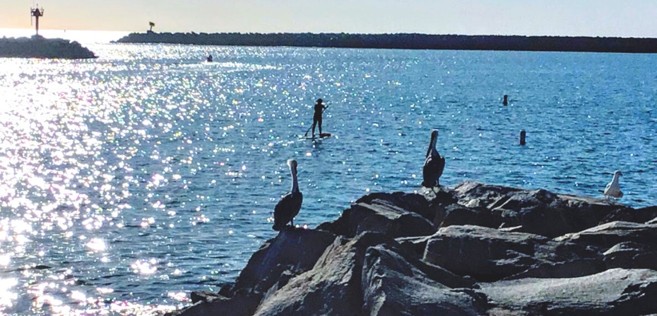 Oceanside Harbor Boat Launch-A Closer Look – San Diego Beach Secrets