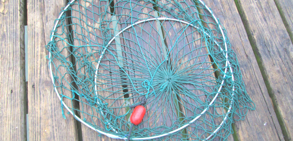 California Spiny Lobster Season is Here- Updated 2025 – San Diego Beach ...