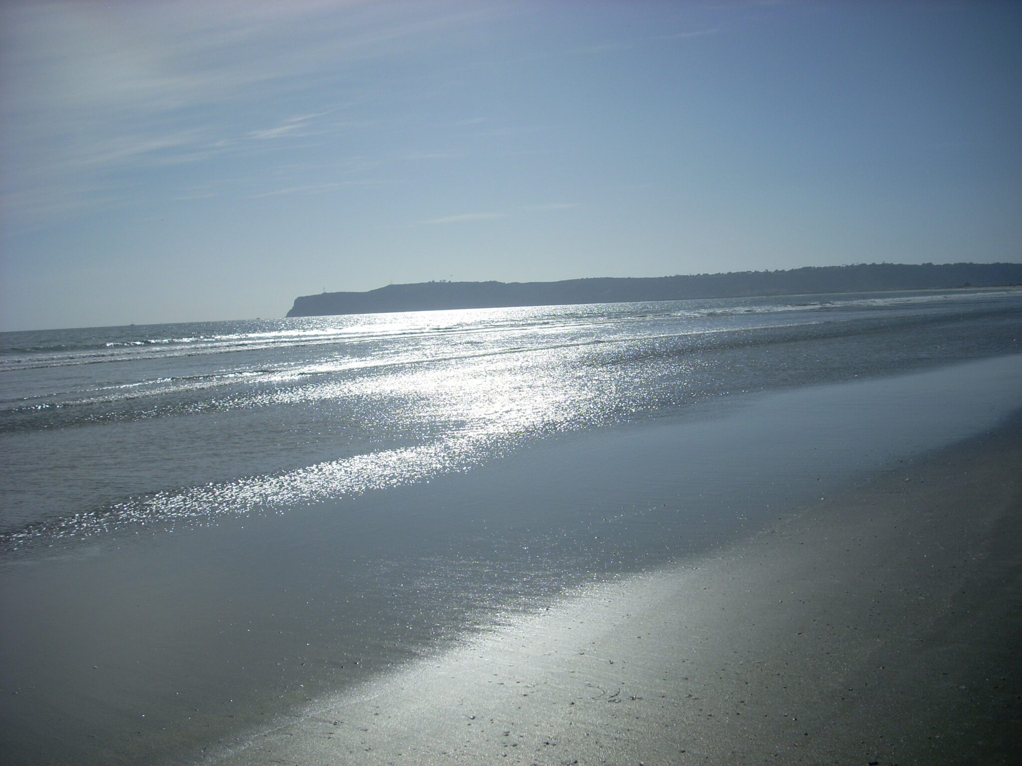 2021 Grunion Run Schedule – San Diego Beach Secrets