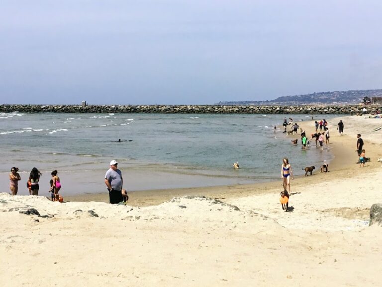 2021 Grunion Run Schedule – San Diego Beach Secrets