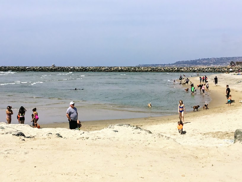 2021 Grunion Run Schedule – San Diego Beach Secrets