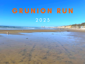 2021 Grunion Run Schedule – San Diego Beach Secrets
