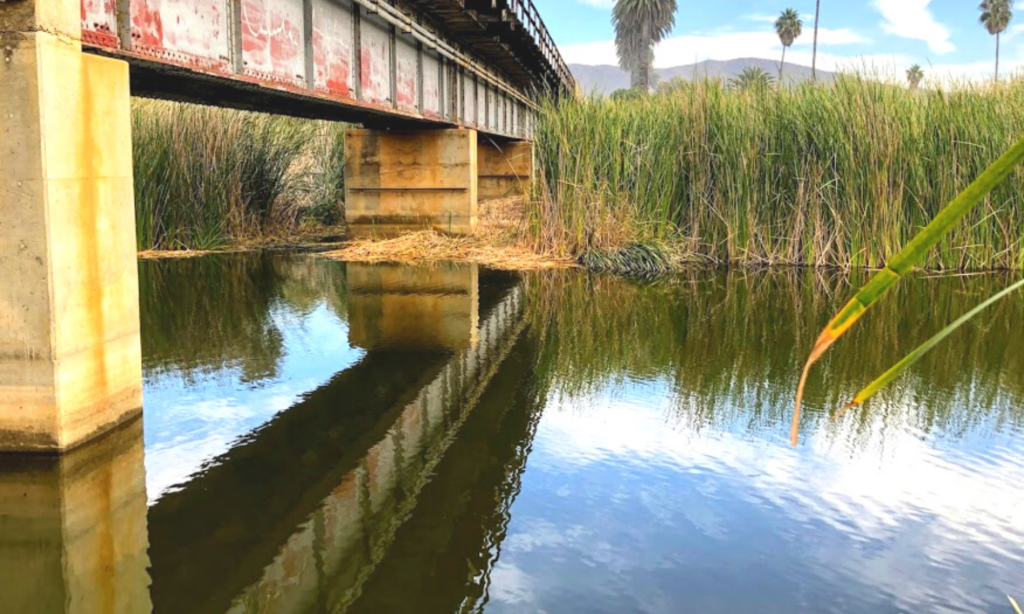 Beaches of Encinitas-A Photo Tour – San Diego Beach Secrets