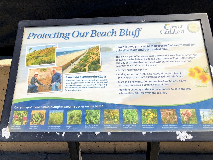 Carlsbad Sea Wall Trail-A Closer Look – San Diego Beach Secrets