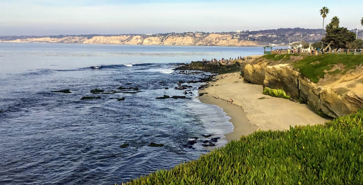 Checking out the California Sea Lions in La Jolla – San Diego Beach Secrets