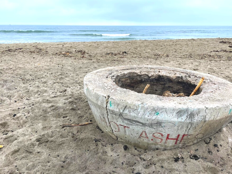 Let's Have a San Diego Beach Bonfire! – San Diego Beach Secrets