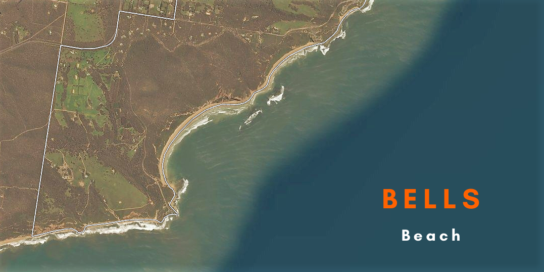 WSL at Trestles in September! – San Diego Beach Secrets