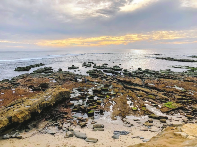 Bird Rock Beach, La Jolla Uncovered! – San Diego Beach Secrets